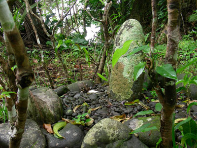 SW Pacific: Erromango - World Archaeology