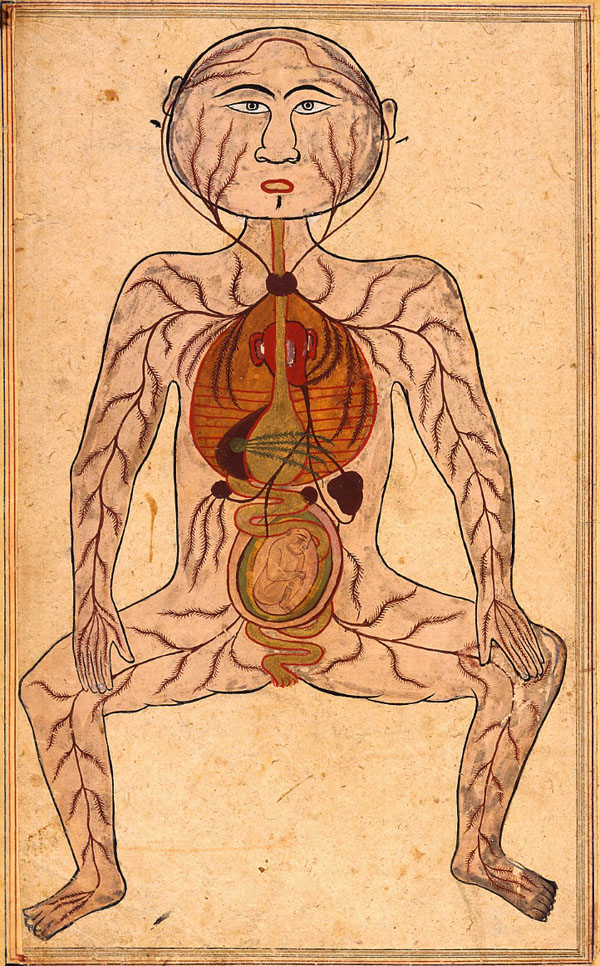 The Mirror of Health: Discovering Medicine in the Golden Age of Islam ...