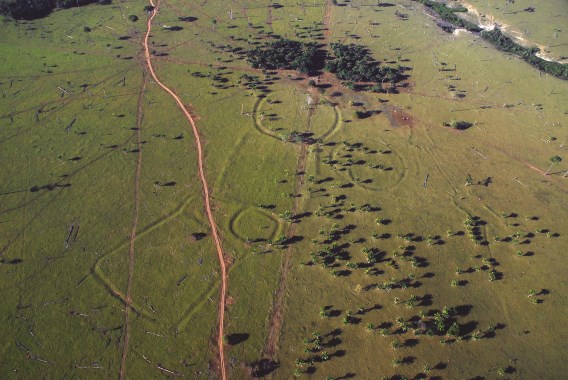 Circles of mystery: Strange ancient earthworks in Brazil’s Amazonian ...