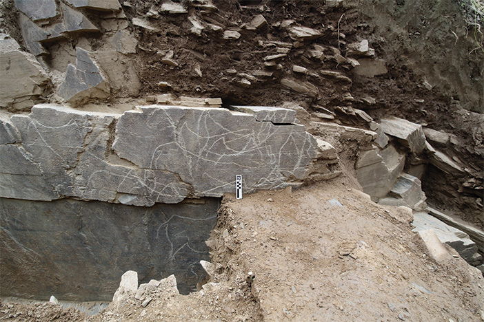 Into the daylight: a new rock art discovery - World Archaeology